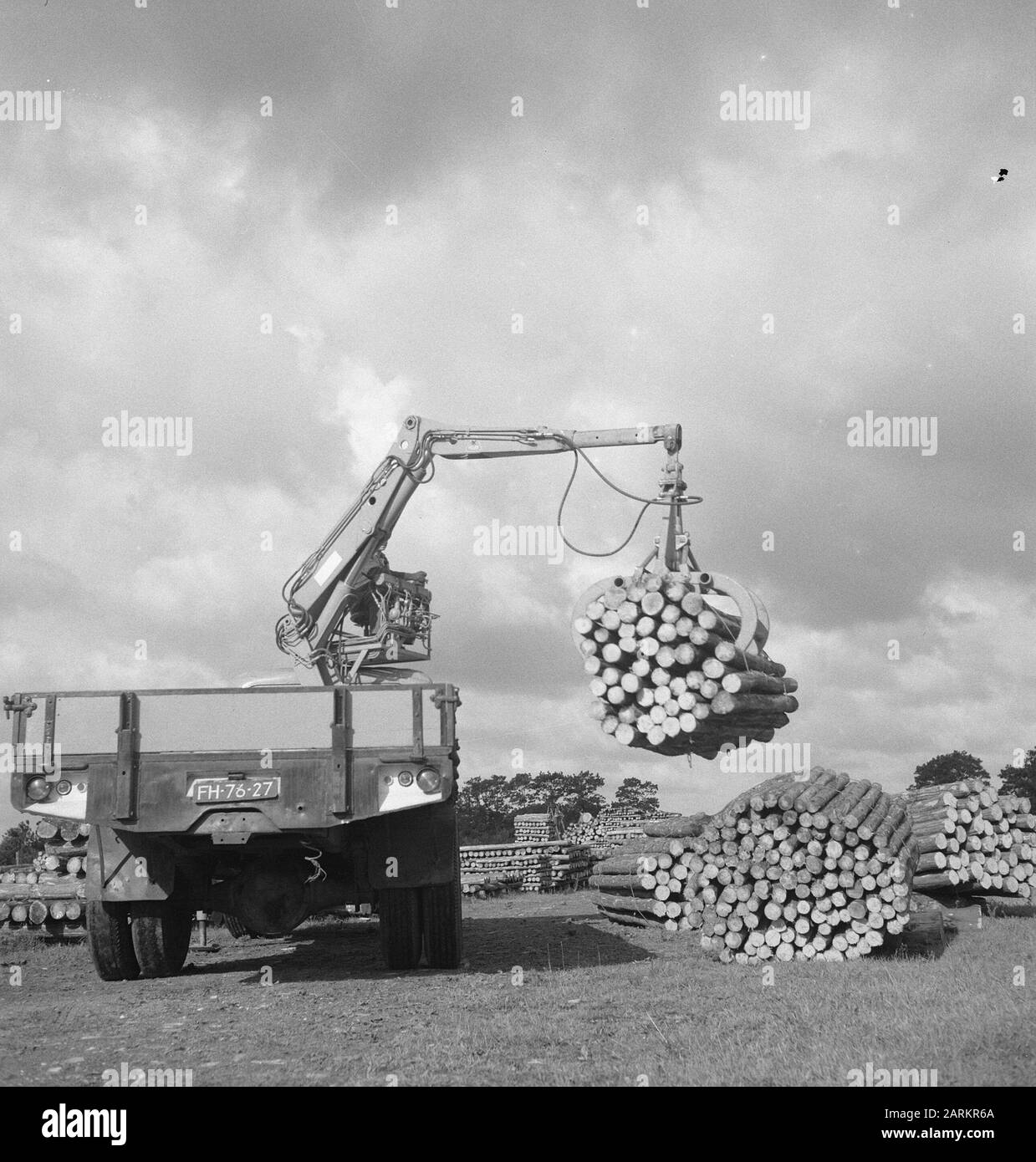 Holzlagerplätze, Holzstämme, Fahrzeuge, Abschleppwagen, Hebezeuge Datum ...