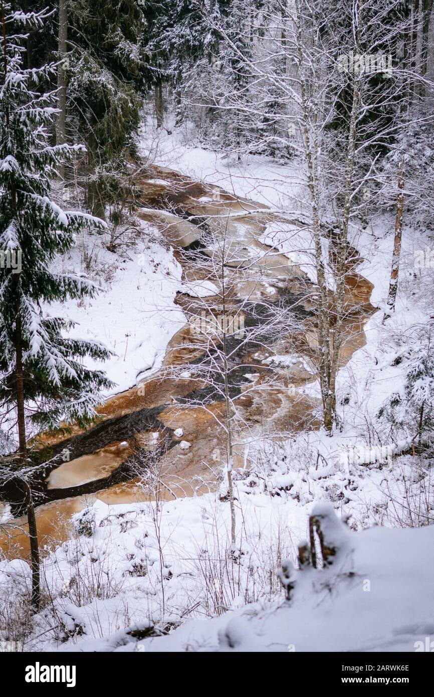 Vertikale Hochwinkelaufnahme eines kleinen Flusses in der Wald bedeckt mit Schnee im Winter ...