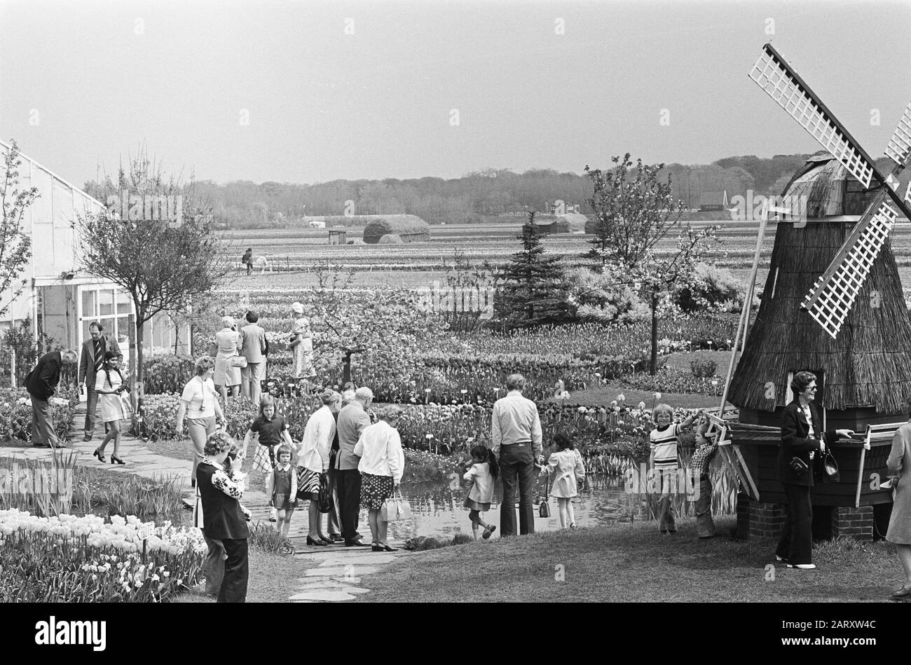 Tulip Show von Bird Grower Frans Roozen zu Vogelenzang Tulpen, Blumen ...
