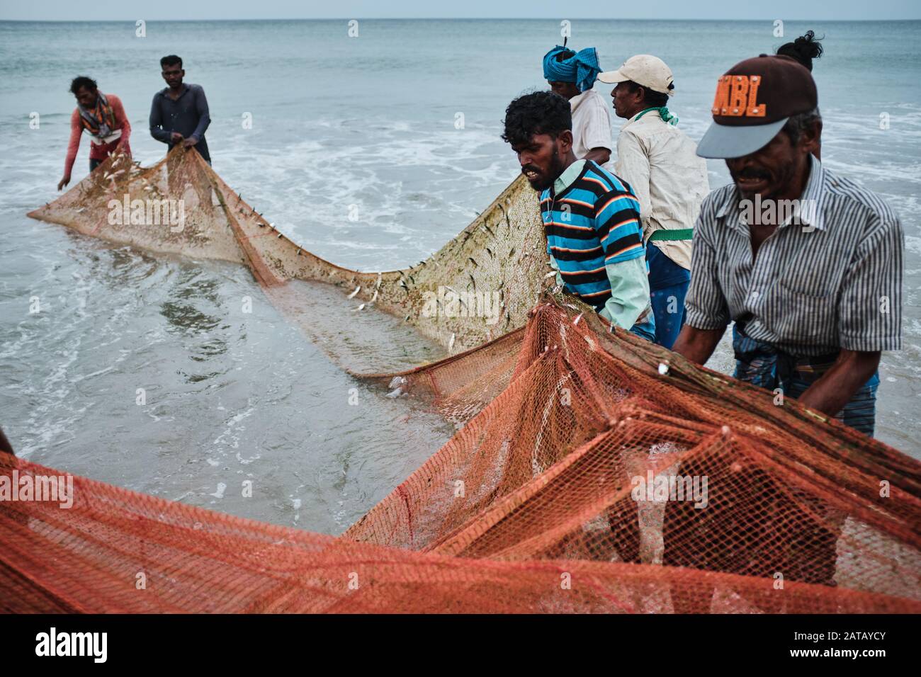 Fischer ziehen die Netze am Strand in Sri Lanka aus dem Meer. Die Stadt ...