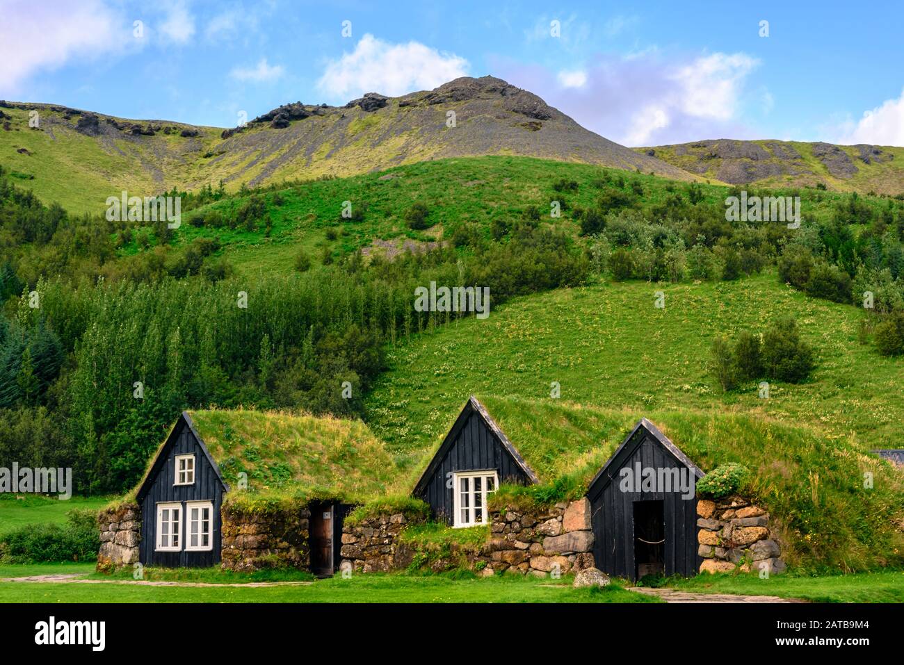Museo di skogar -Fotos und -Bildmaterial in hoher Auflösung – Alamy