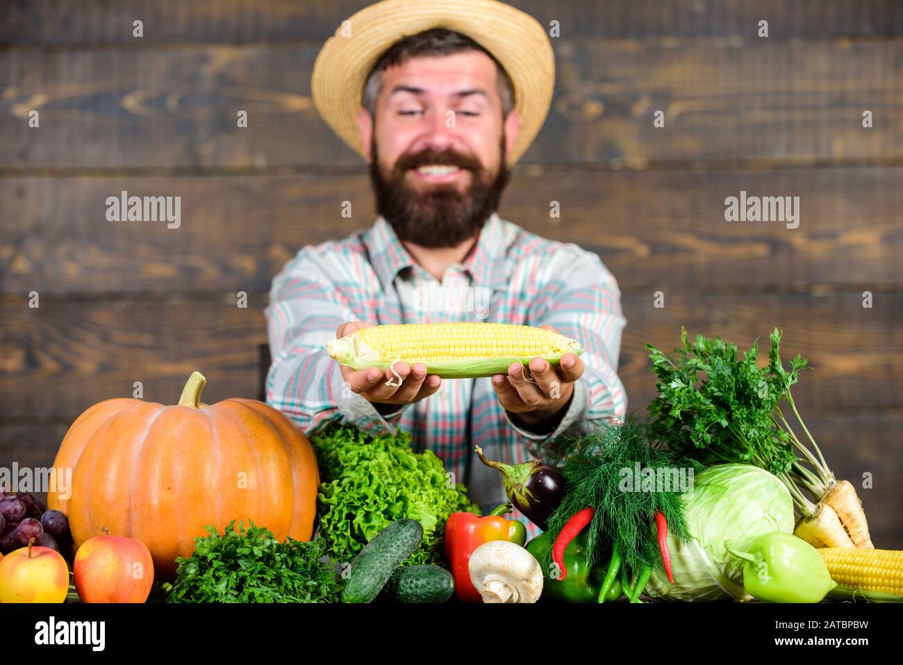 Bauer präsentiert Bio-Gemüse aus eigener Erzeugung. Selbst erwachsener ...