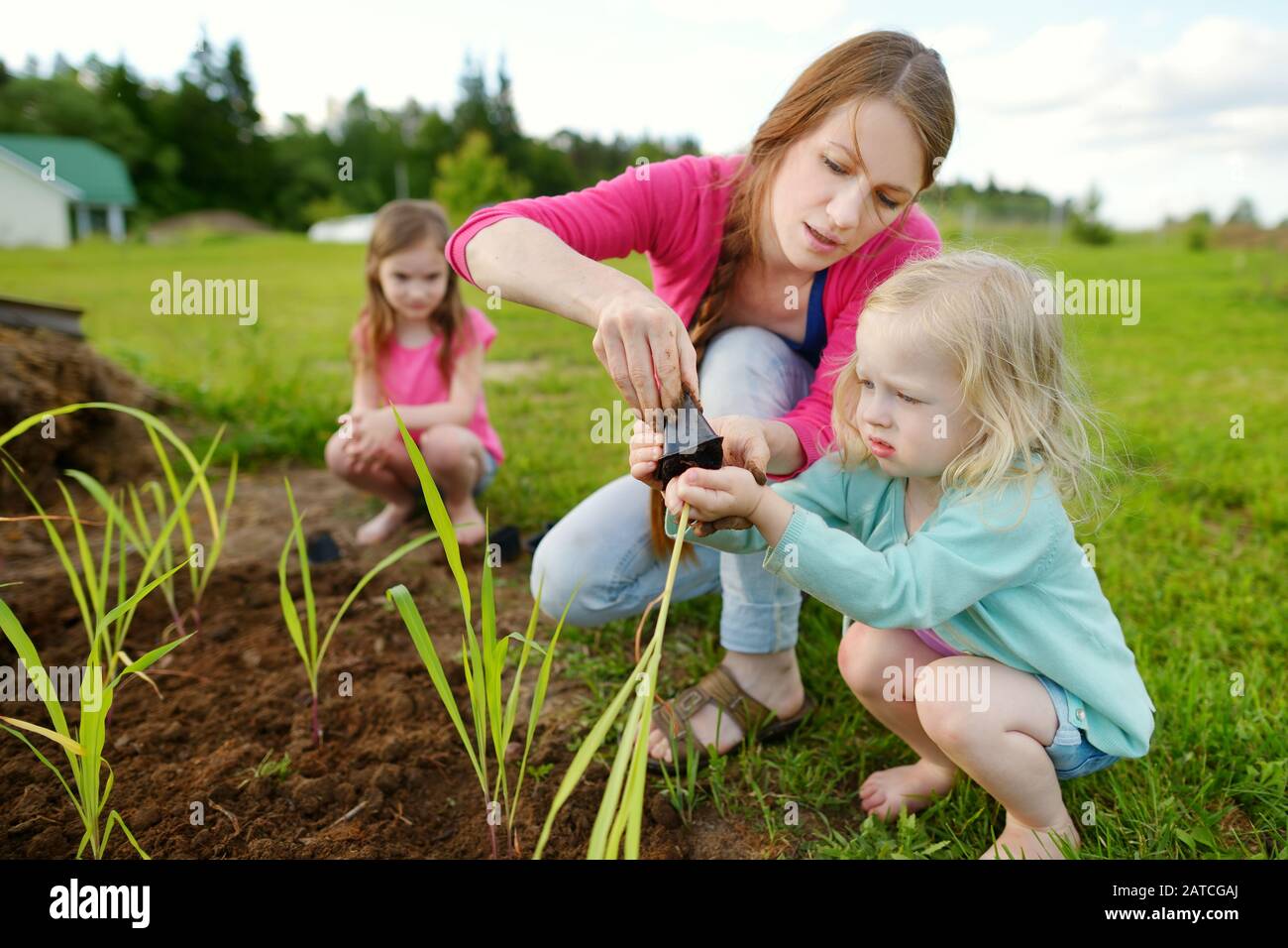 Kinder pflanzen setzlinge Stockfotos und -bilder Kaufen - Alamy