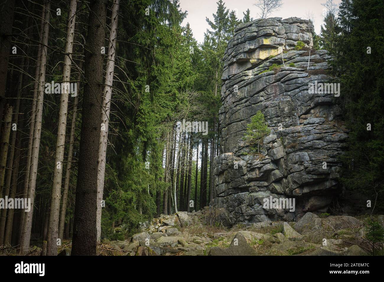 Der harz nationalpark -Fotos und -Bildmaterial in hoher Auflösung – Alamy
