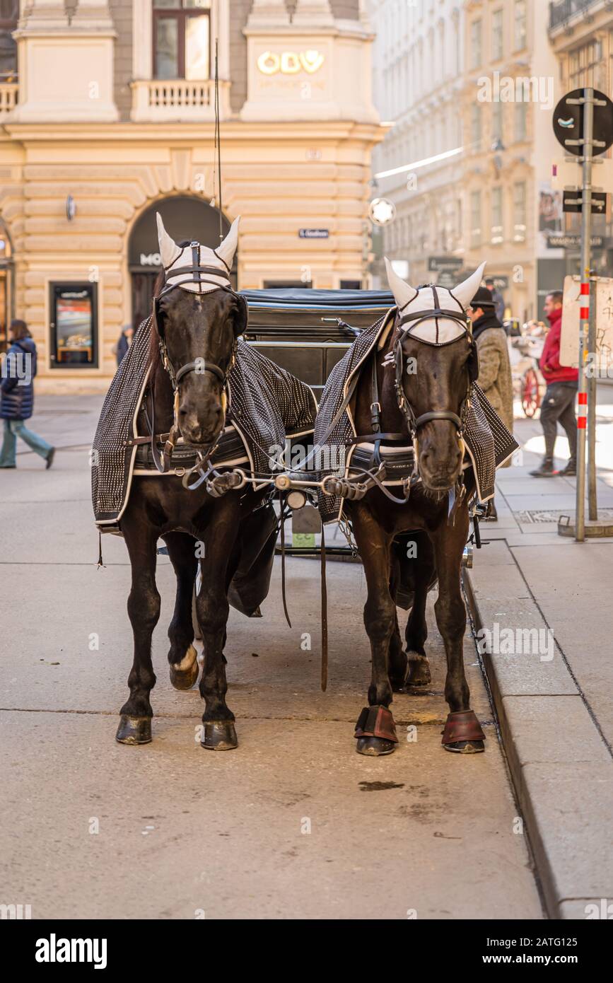 Fiaker pferdewagen -Fotos und -Bildmaterial in hoher Auflösung – Alamy