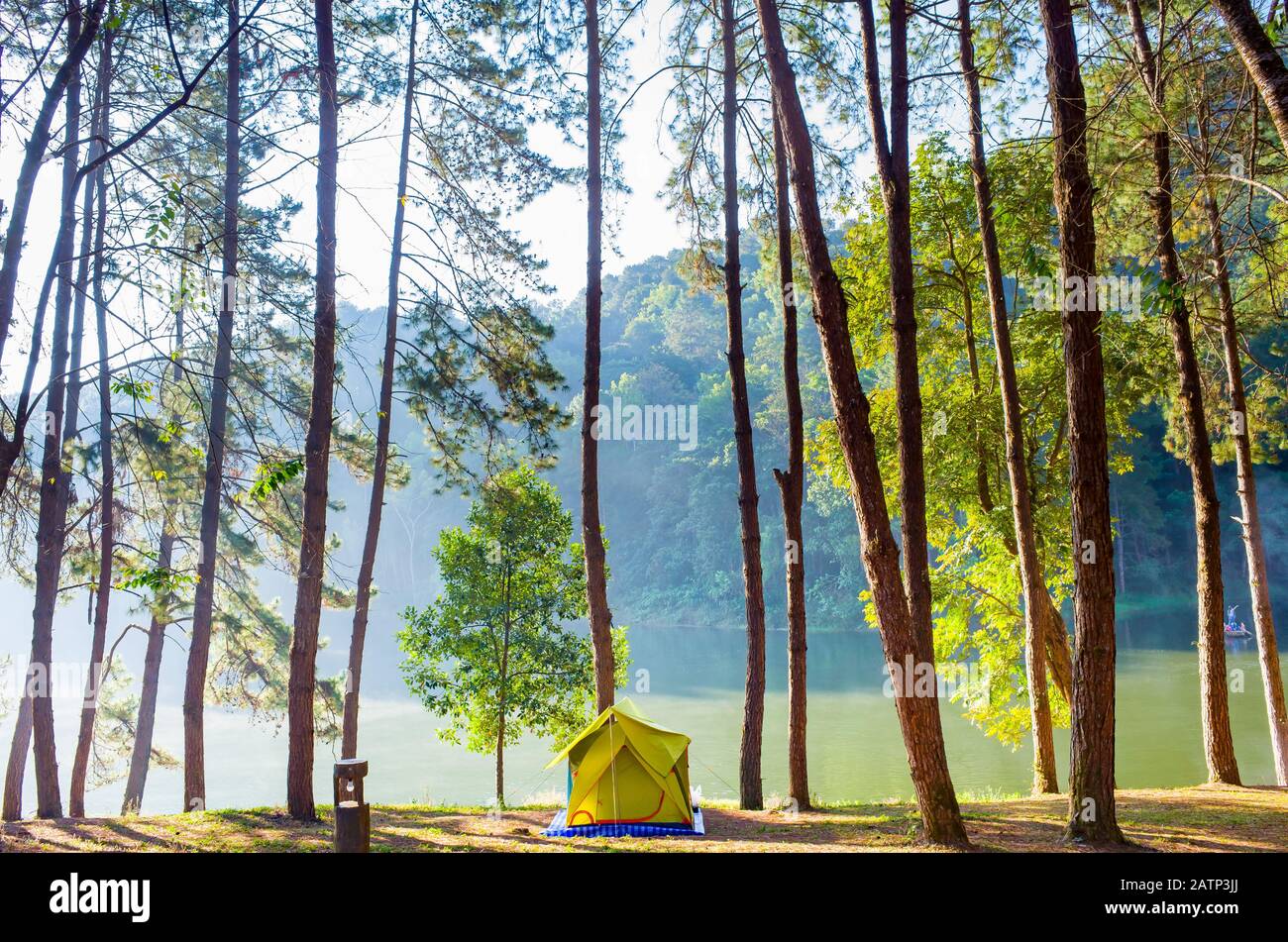 Romantische abenteuer -Fotos und -Bildmaterial in hoher Auflösung – Alamy Romantische abenteuer -Fotos und -Bildmaterial in hoher Auflösung – Alamy