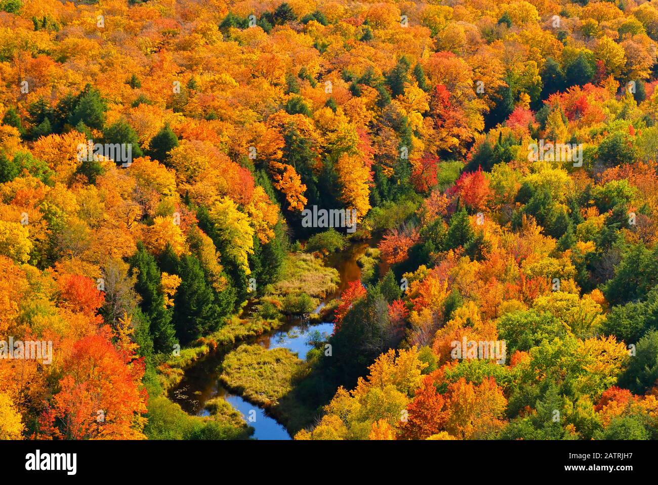 Big Carp River, Escarpment Trail, Lake of the Clouds, Porcupine Mountains Wilderness State Park ...