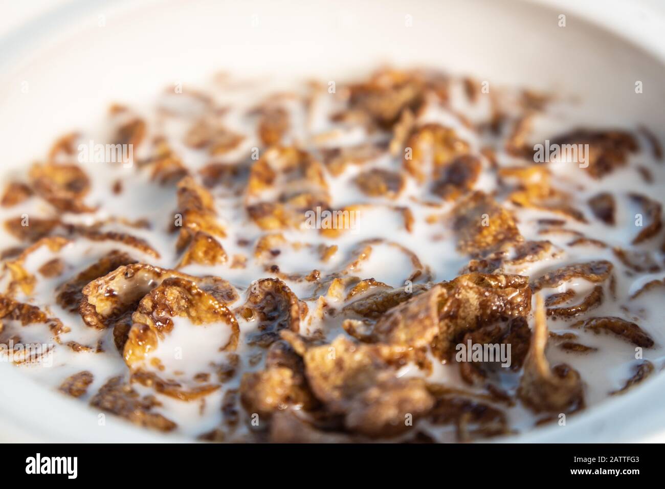 Cornflakes schoko -Fotos und -Bildmaterial in hoher Auflösung – Alamy