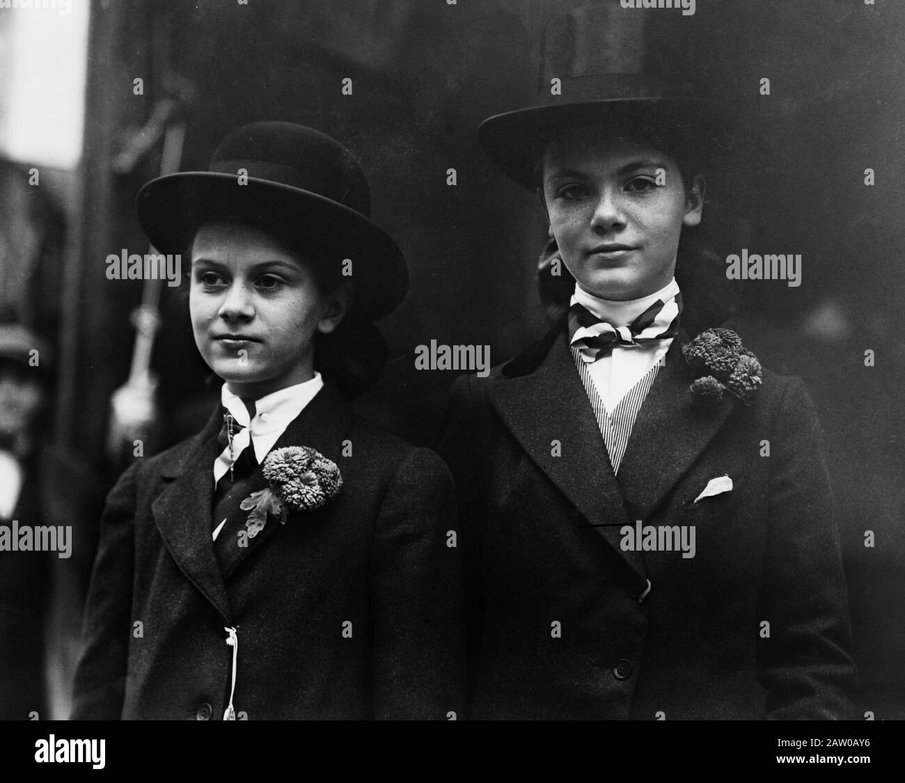 Wilhelmina ruperti -Fotos und -Bildmaterial in hoher Auflösung – Alamy