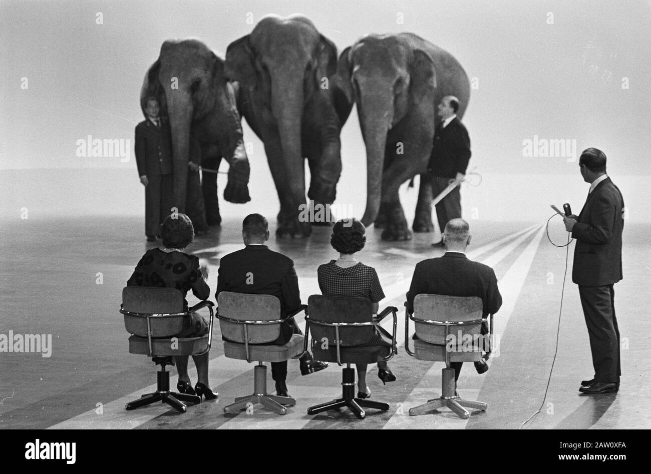 Nico van vliet -Fotos und -Bildmaterial in hoher Auflösung – Alamy