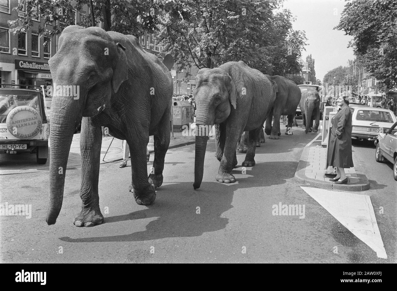 Zirkus althoff -Fotos und -Bildmaterial in hoher Auflösung – Alamy