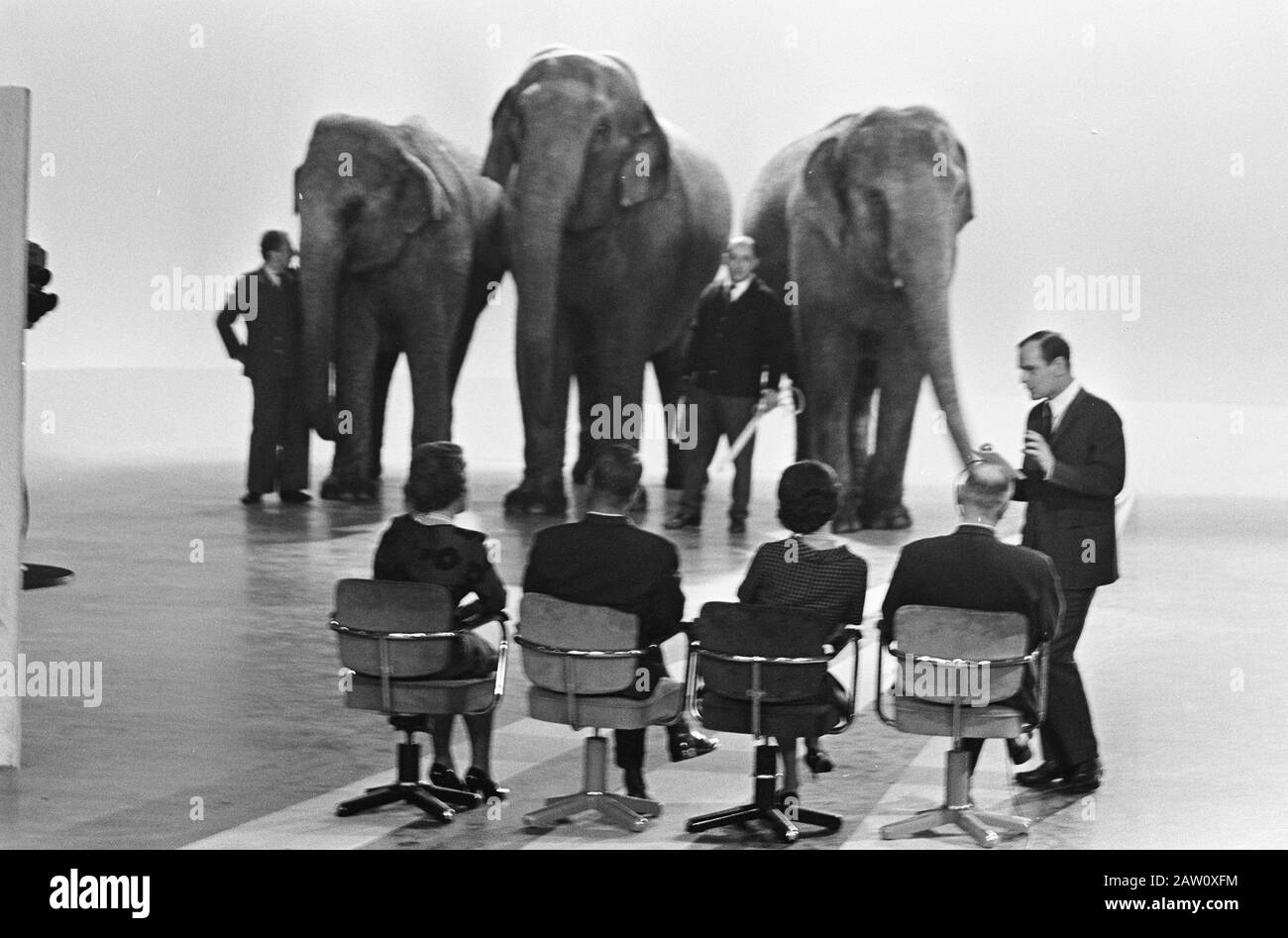 Nico van vliet -Fotos und -Bildmaterial in hoher Auflösung – Alamy