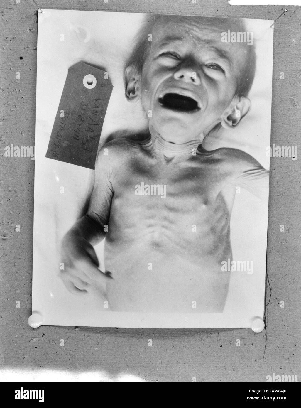 Kinder des 2 weltkrieges -Fotos und -Bildmaterial in hoher Auflösung ...