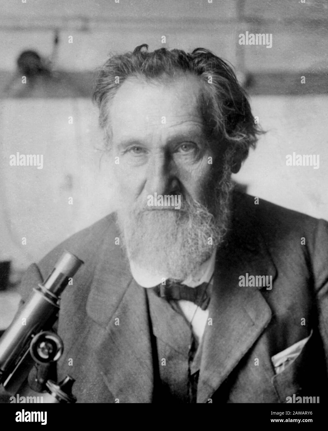 Ilya iljitsch mechnikow -Fotos und -Bildmaterial in hoher Auflösung – Alamy