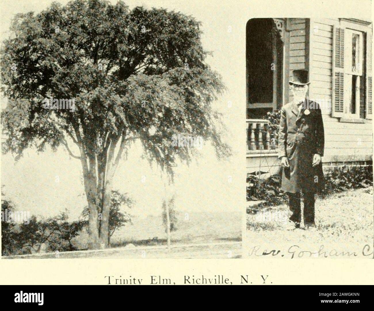 Vorfahren meiner Kinder; Daten über vierhundert Neuengland-Vorfahren ...