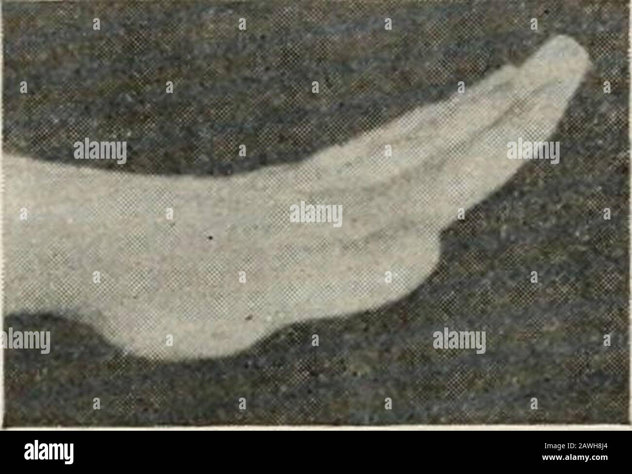 Neue Konzepte in Diagnose und Behandlung: Physikalisch-klinische ...