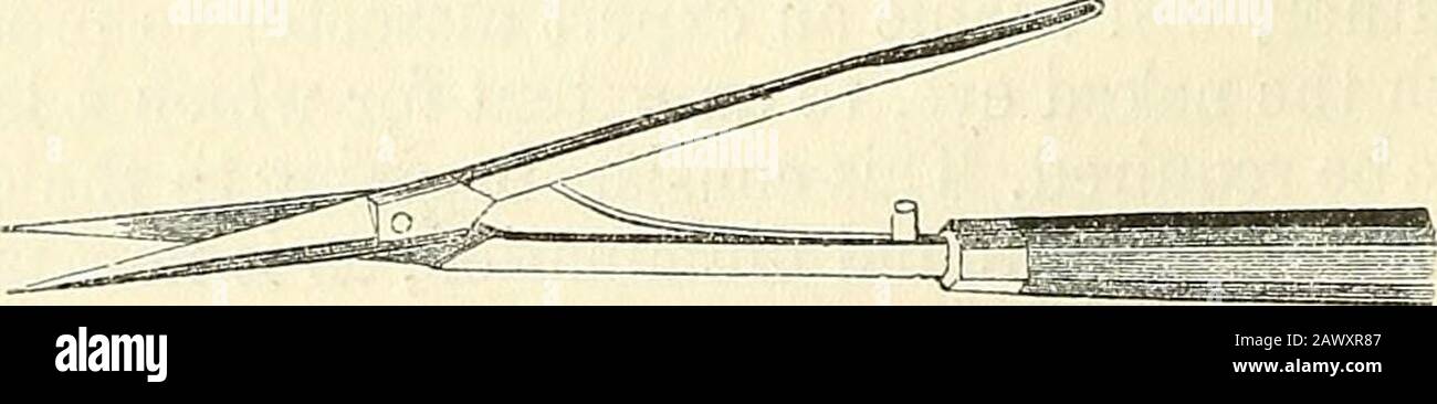 Hinged dissection -Fotos und -Bildmaterial in hoher Auflösung – Alamy