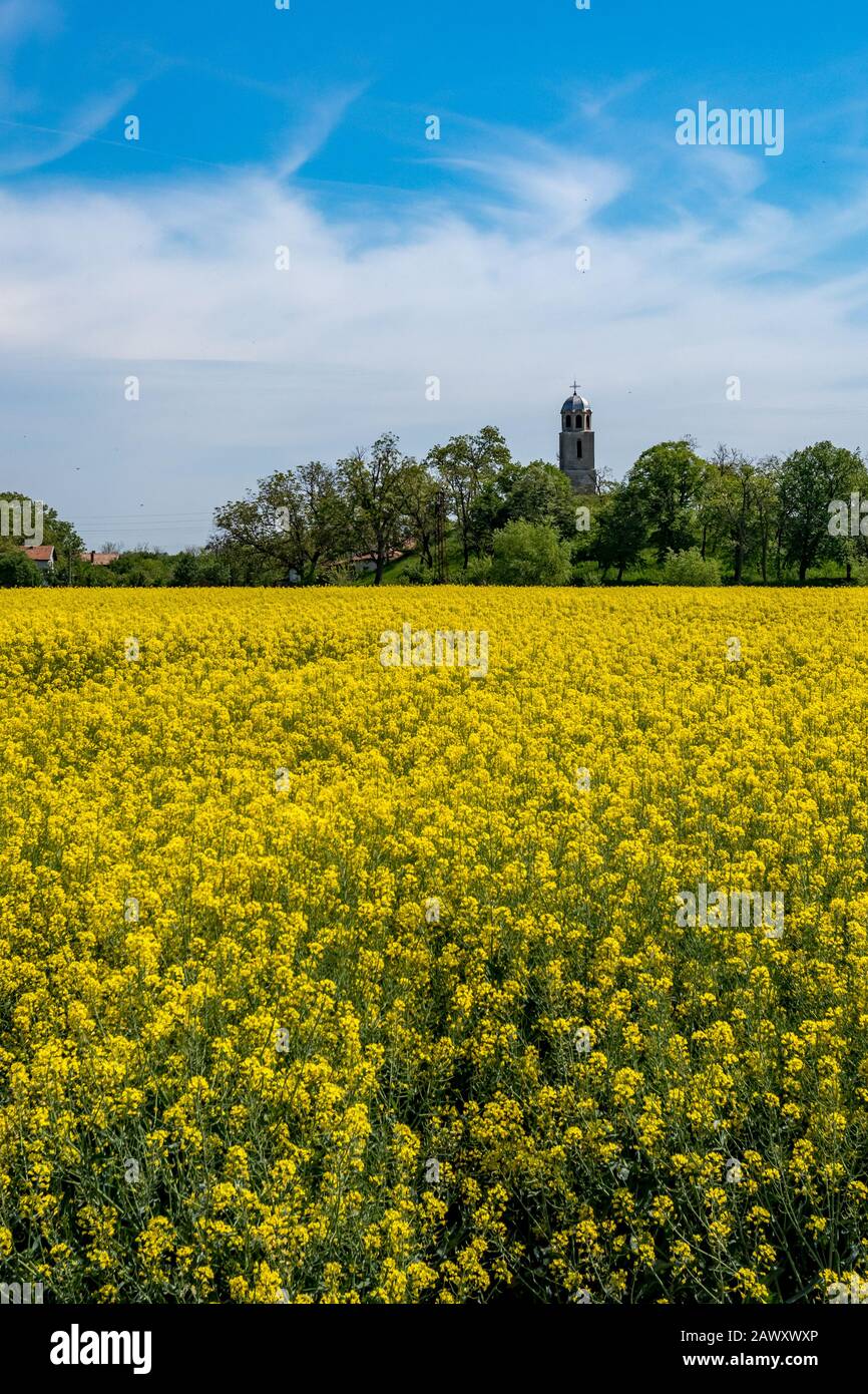 Gelbes kreuz auf blauem hintergrund -Fotos und -Bildmaterial in hoher ...