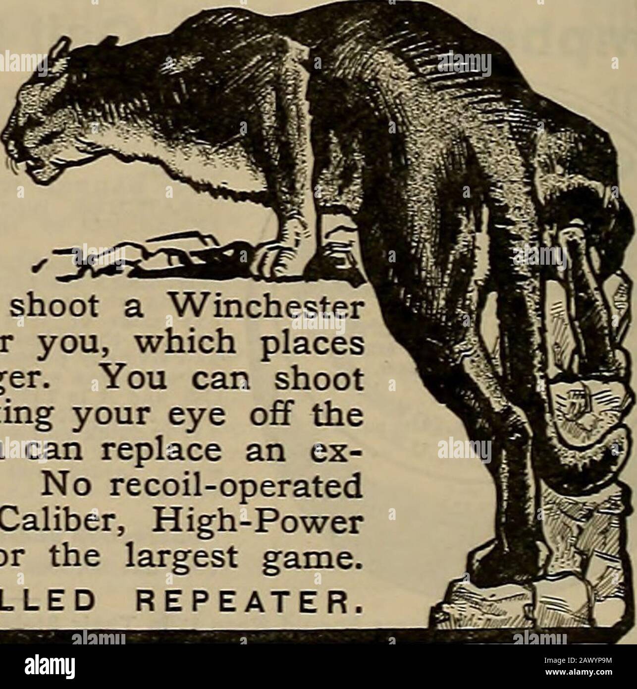 Züchter und Sportler. E Arrow und Xitro Club Shells mit dem Stahlfutter ...