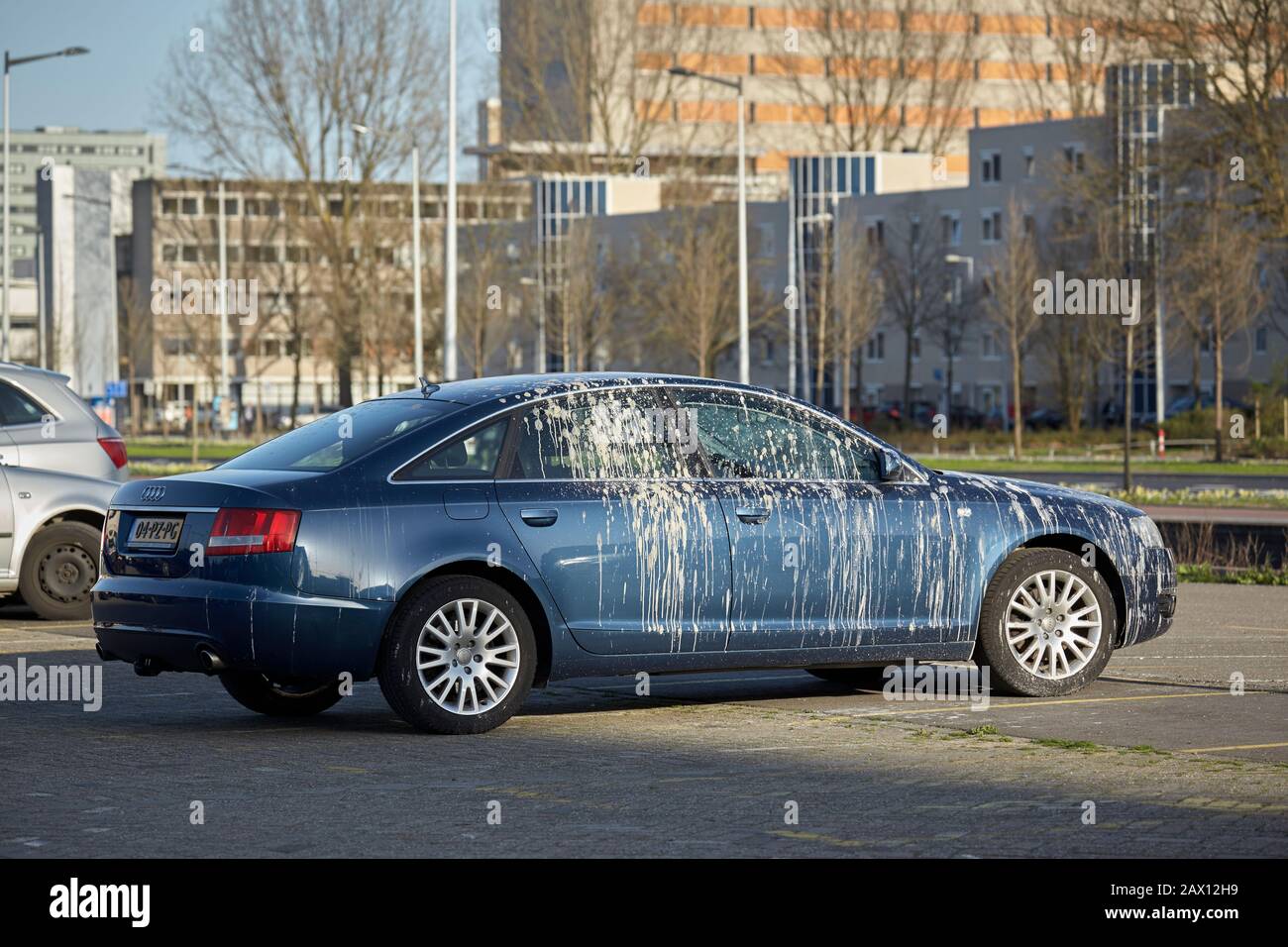 Vogel vogelkot -Fotos und -Bildmaterial in hoher Auflösung – Alamy