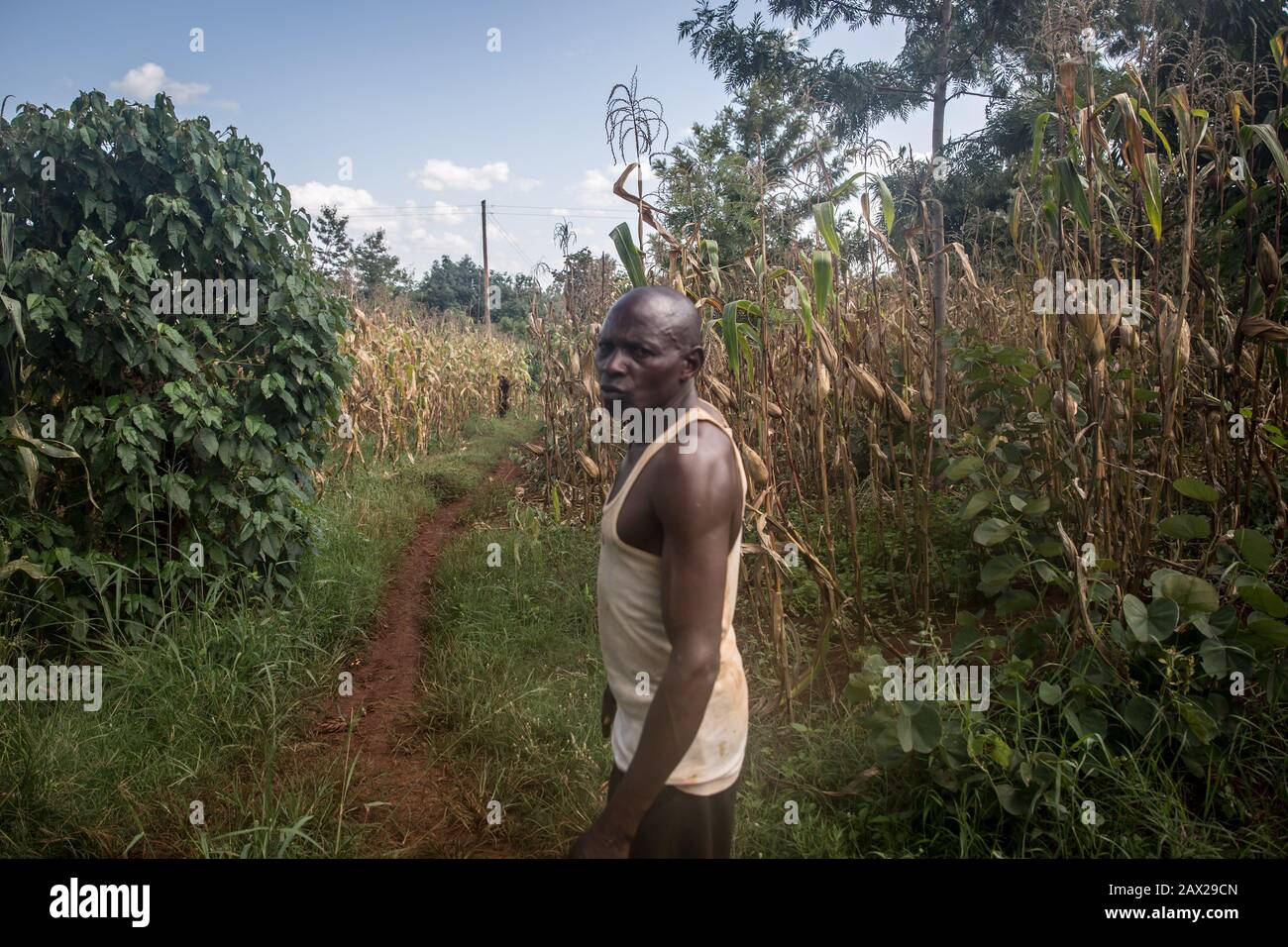 Bernard mwaura -Fotos und -Bildmaterial in hoher Auflösung – Alamy