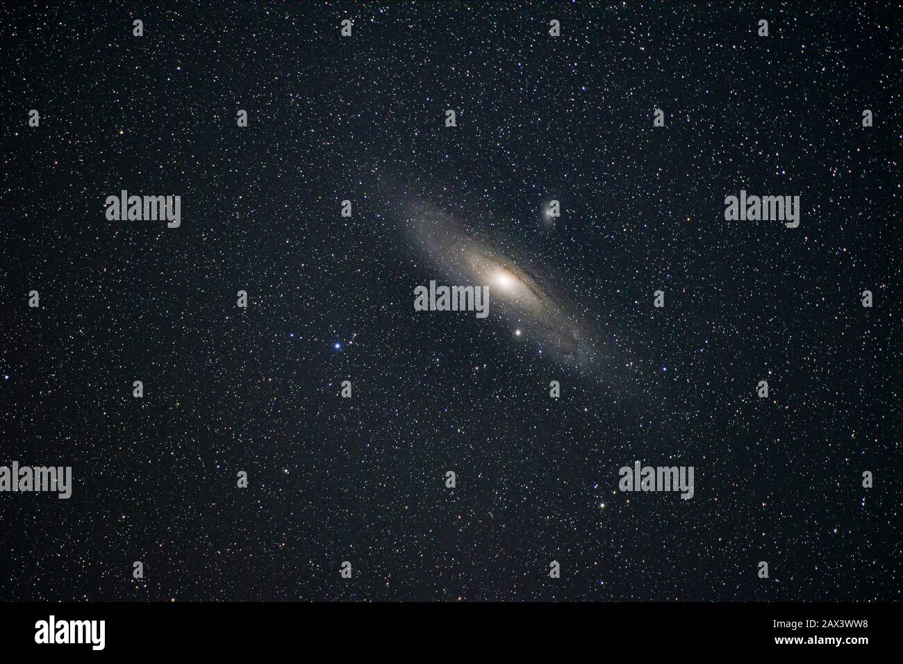Andromeda galaxy -Fotos und -Bildmaterial in hoher Auflösung – Alamy