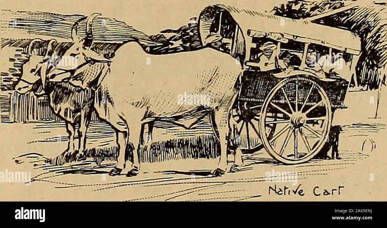 Grab des schreckens -Fotos und -Bildmaterial in hoher Auflösung – Alamy