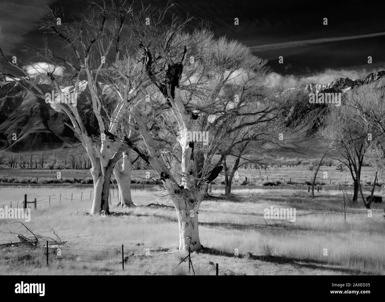 Jon b lovelace sammlung von kalifornischen fotos in s Stockfotos und ...