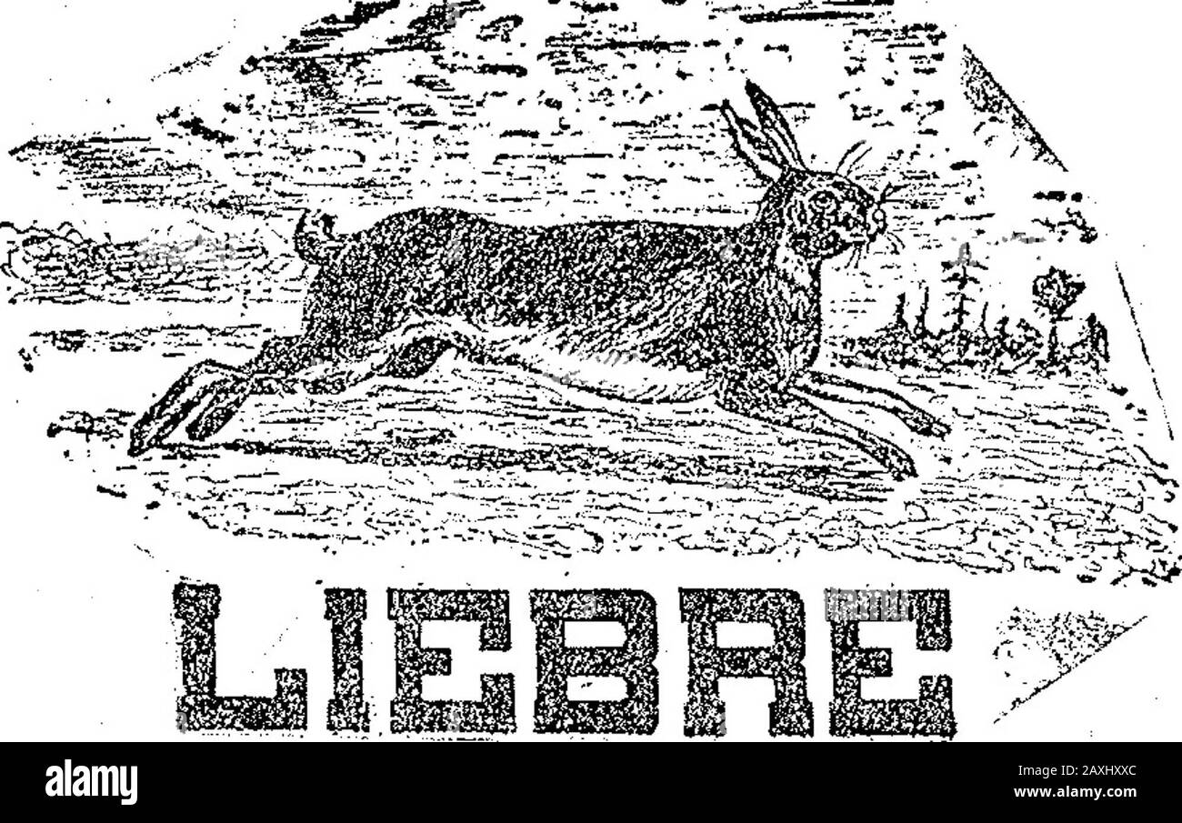 Boletín Oficial de la República Argentina! 1ra sección. 1 Diciembre 28