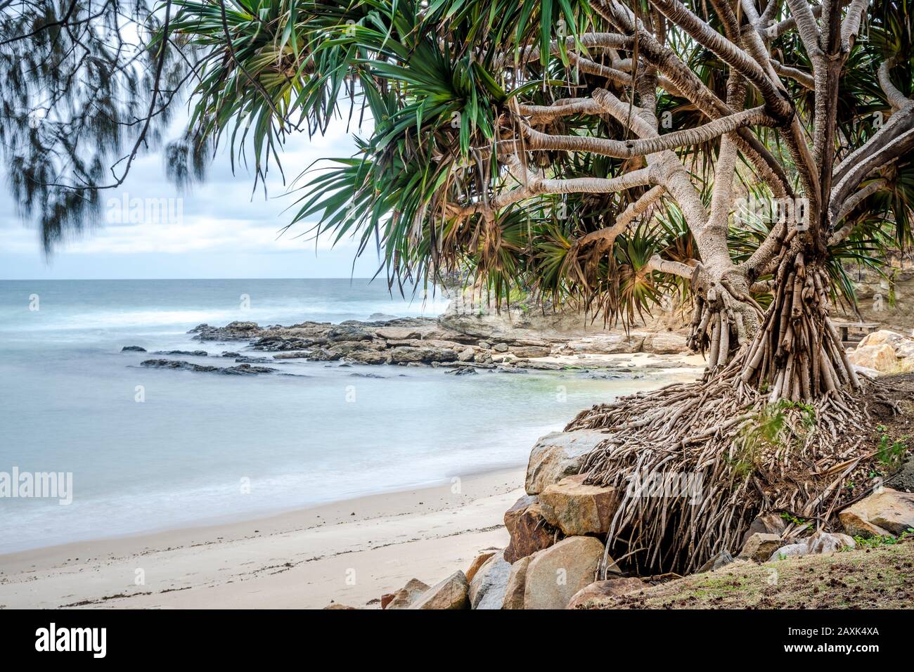 Promenade vegetation umgebung -Fotos und -Bildmaterial in hoher ...
