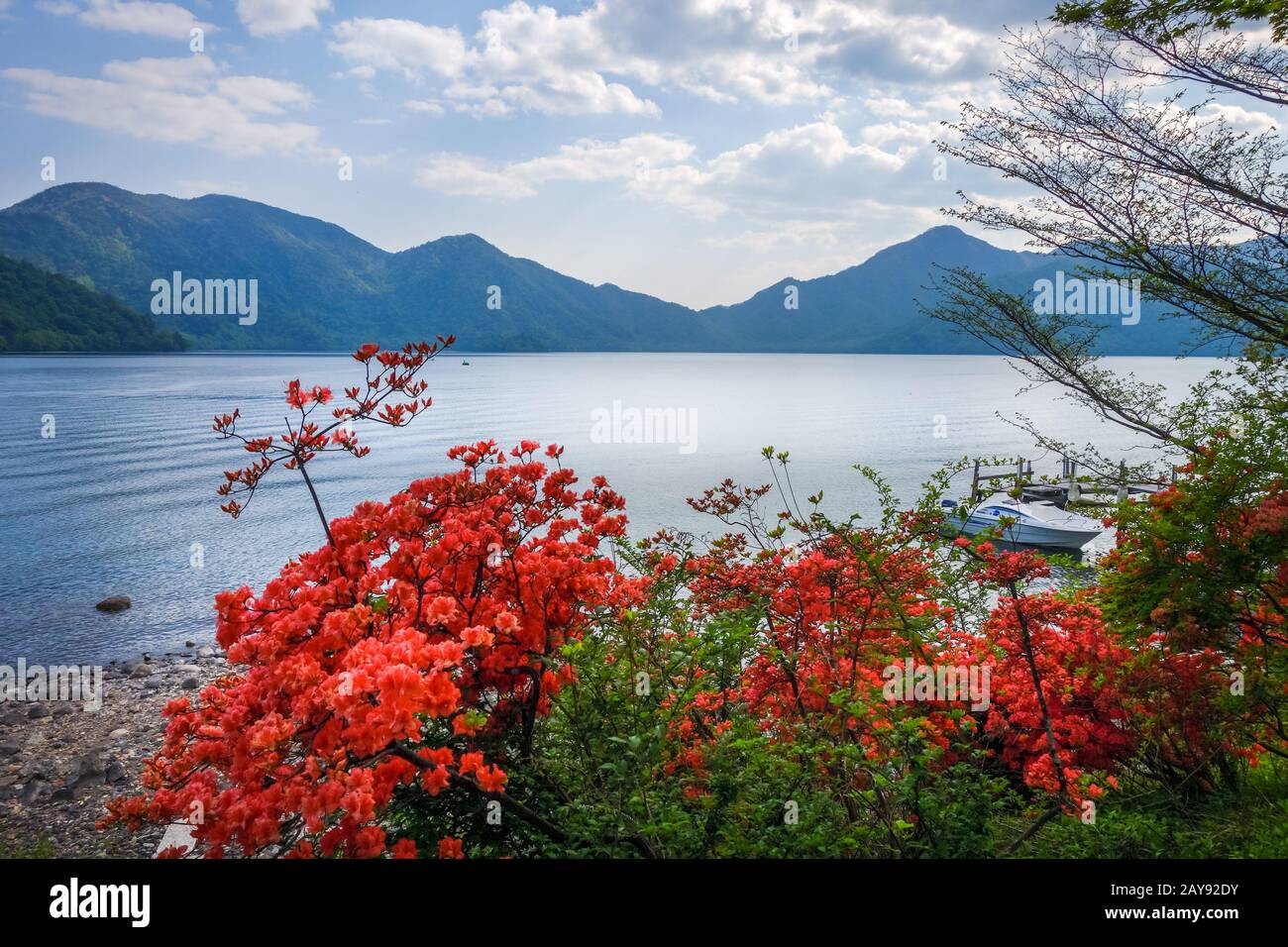 Blumen um den see -Fotos und -Bildmaterial in hoher Auflösung – Alamy