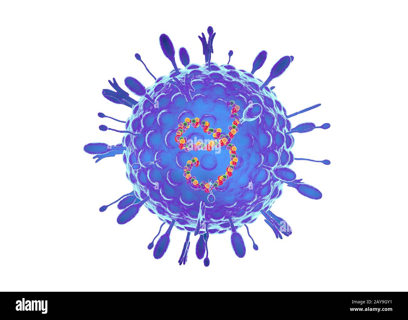 Human parainfluenza virus hpiv -Fotos und -Bildmaterial in hoher Auflösung – Alamy