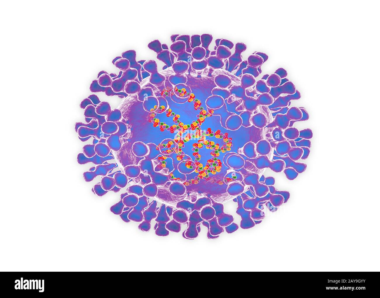 Pox virus -Fotos und -Bildmaterial in hoher Auflösung – Alamy