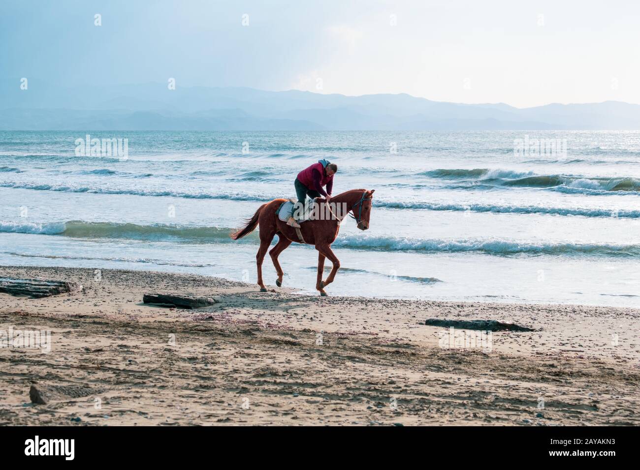 Reiter galoppieren im galopp -Fotos und -Bildmaterial in hoher Auflösung - Seite 2 - Alamy