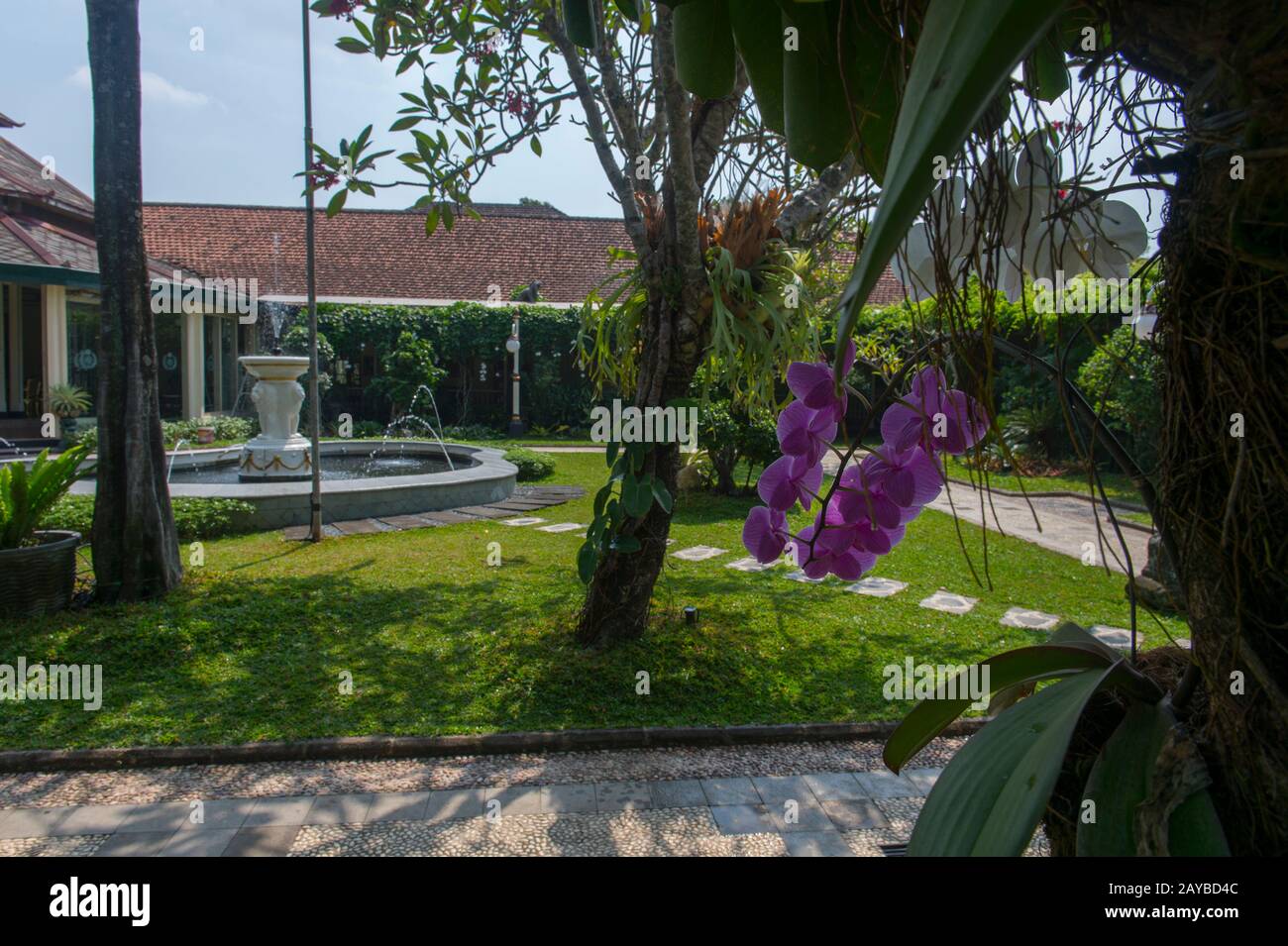 Mangkunegaran solo java indonesia -Fotos und -Bildmaterial in hoher Auflösung – Alamy