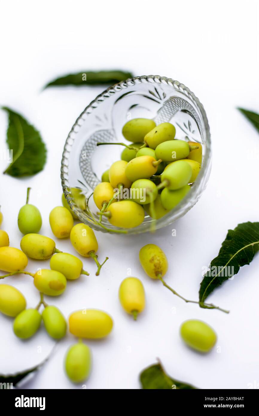 Neem detox drink -Fotos und -Bildmaterial in hoher Auflösung – Alamy