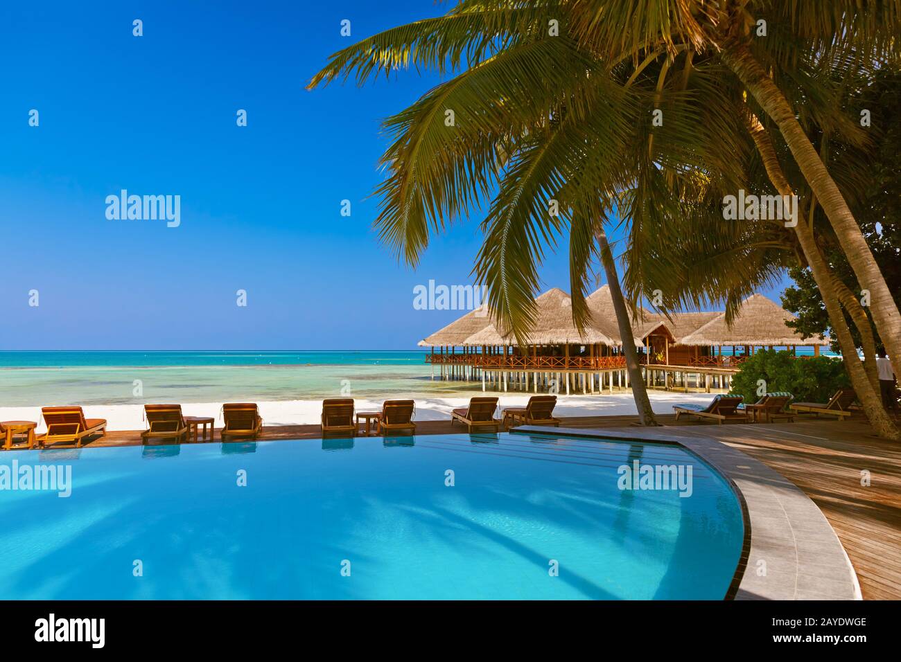 Pool und Café am Malediven Strand Stockfotografie - Alamy
