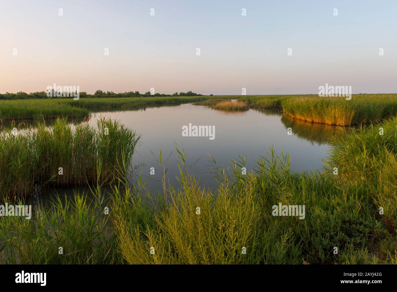 Rhône delta -Fotos und -Bildmaterial in hoher Auflösung – Alamy
