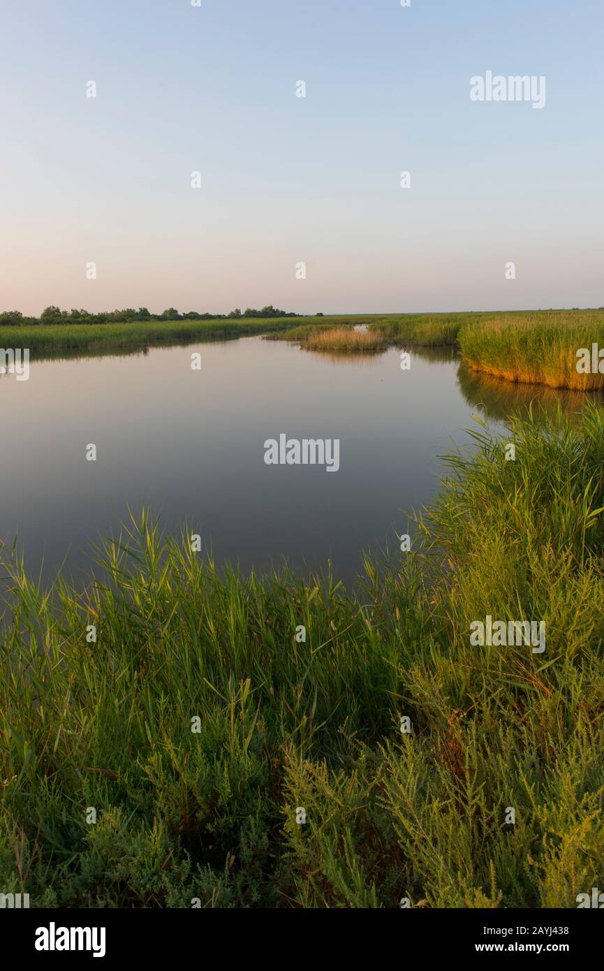 Rhône delta -Fotos und -Bildmaterial in hoher Auflösung – Alamy