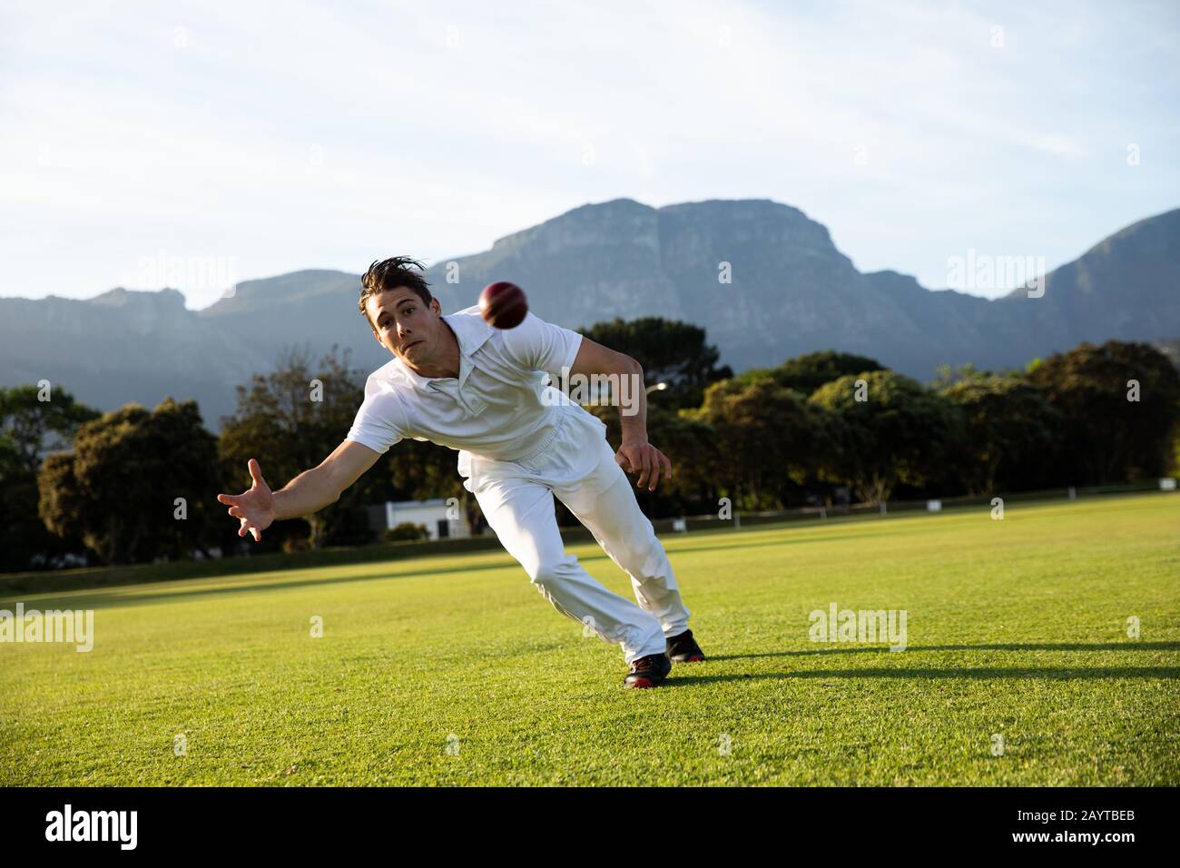 Den cricketball fangen -Fotos und -Bildmaterial in hoher Auflösung – Alamy