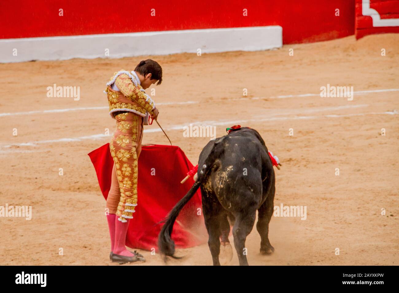 Stierkampf mexiko -Fotos und -Bildmaterial in hoher Auflösung – Alamy