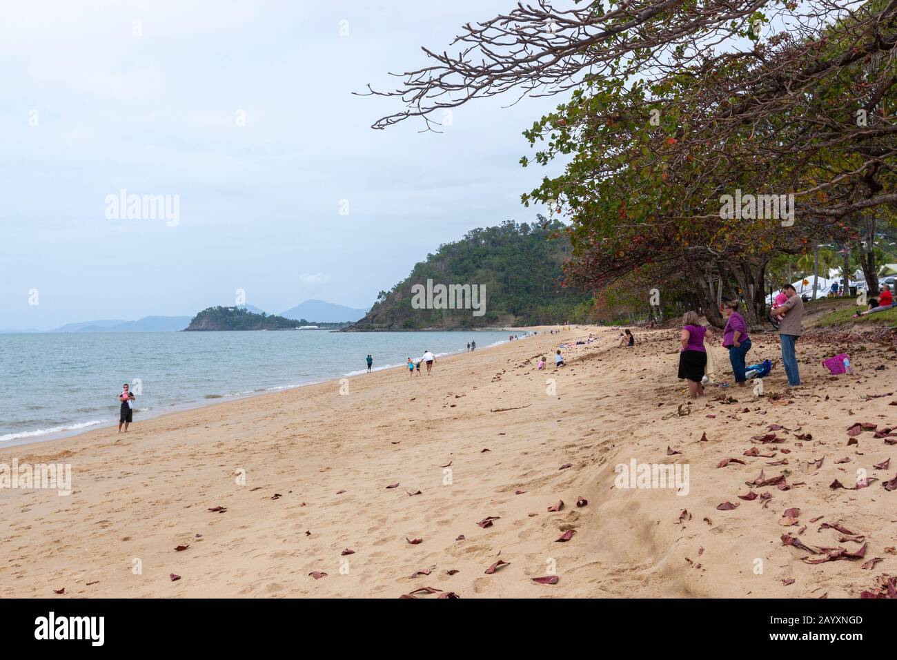 Trinity beach queensland Stockfotos und -bilder Kaufen - Alamy