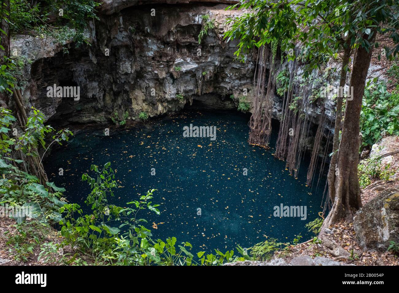 Lol ha cenote -Fotos und -Bildmaterial in hoher Auflösung – Alamy