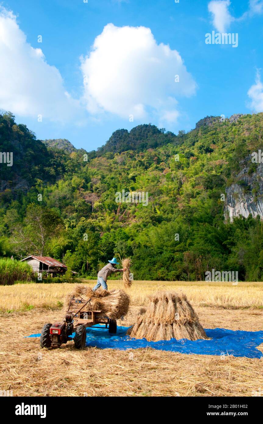 Kuan pha lom nationalpark -Fotos und -Bildmaterial in hoher Auflösung ...