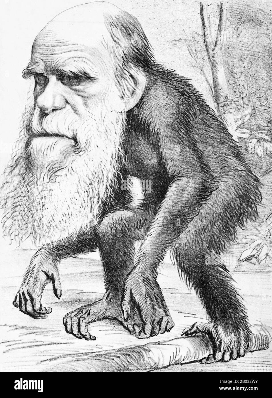 Charles darwin englischer naturforscher geologe evolutionstheorie ...