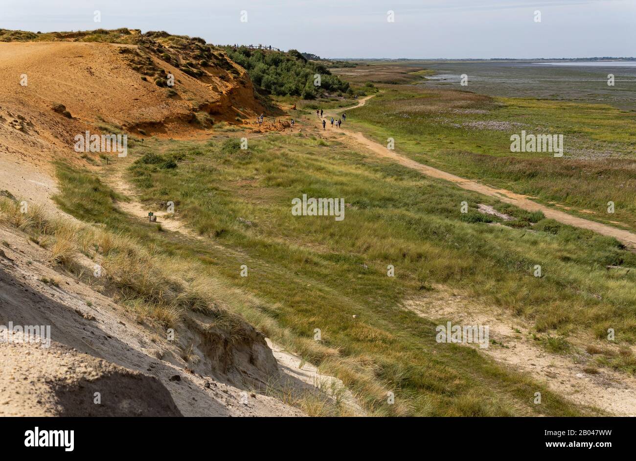 Naturschutzgebiet Morsum-Kliff Sylt, Deutschland Stockfotografie - Alamy