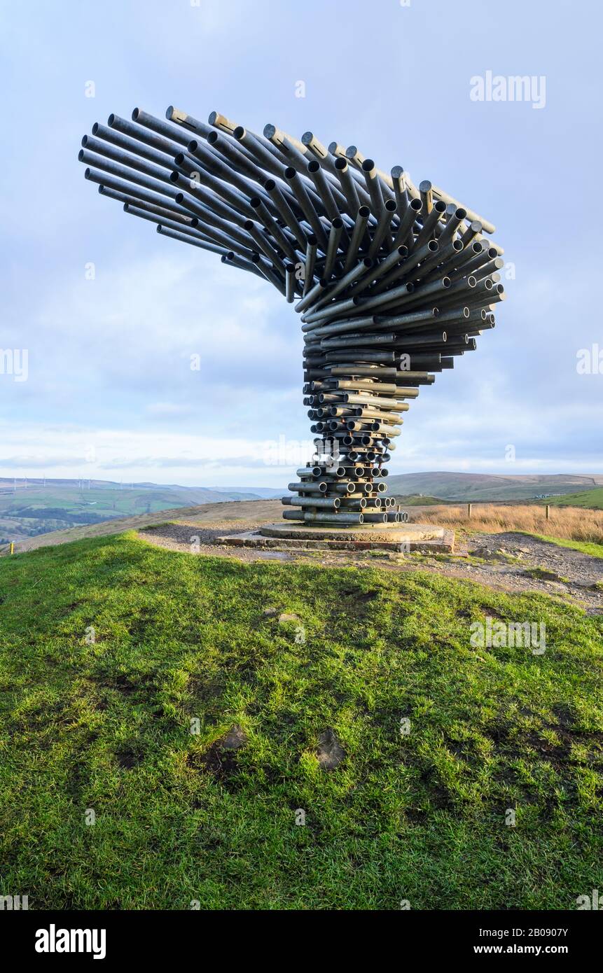 Singing ringing tree -Fotos und -Bildmaterial in hoher Auflösung – Alamy