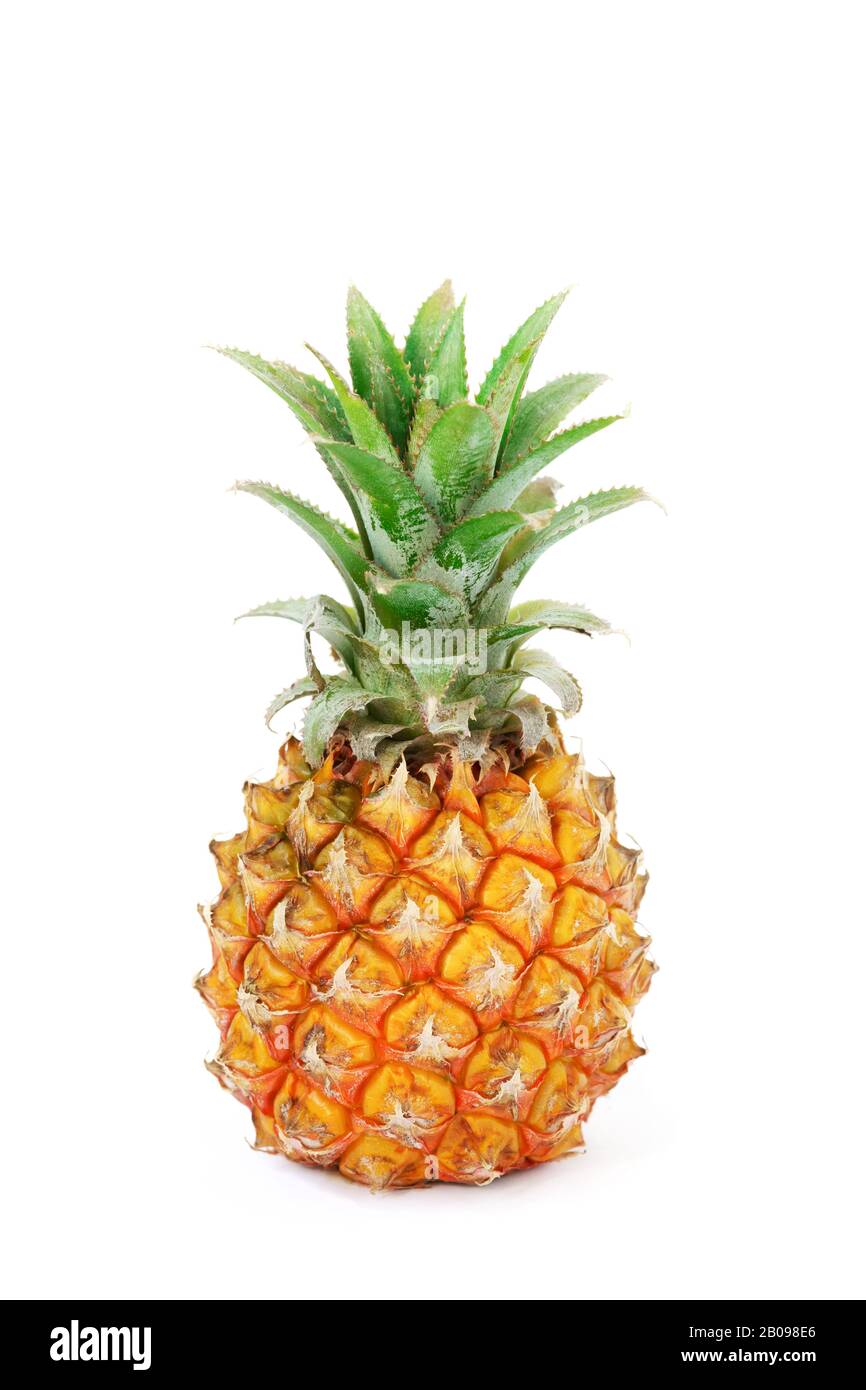 Baby ananas -Fotos und -Bildmaterial in hoher Auflösung – Alamy