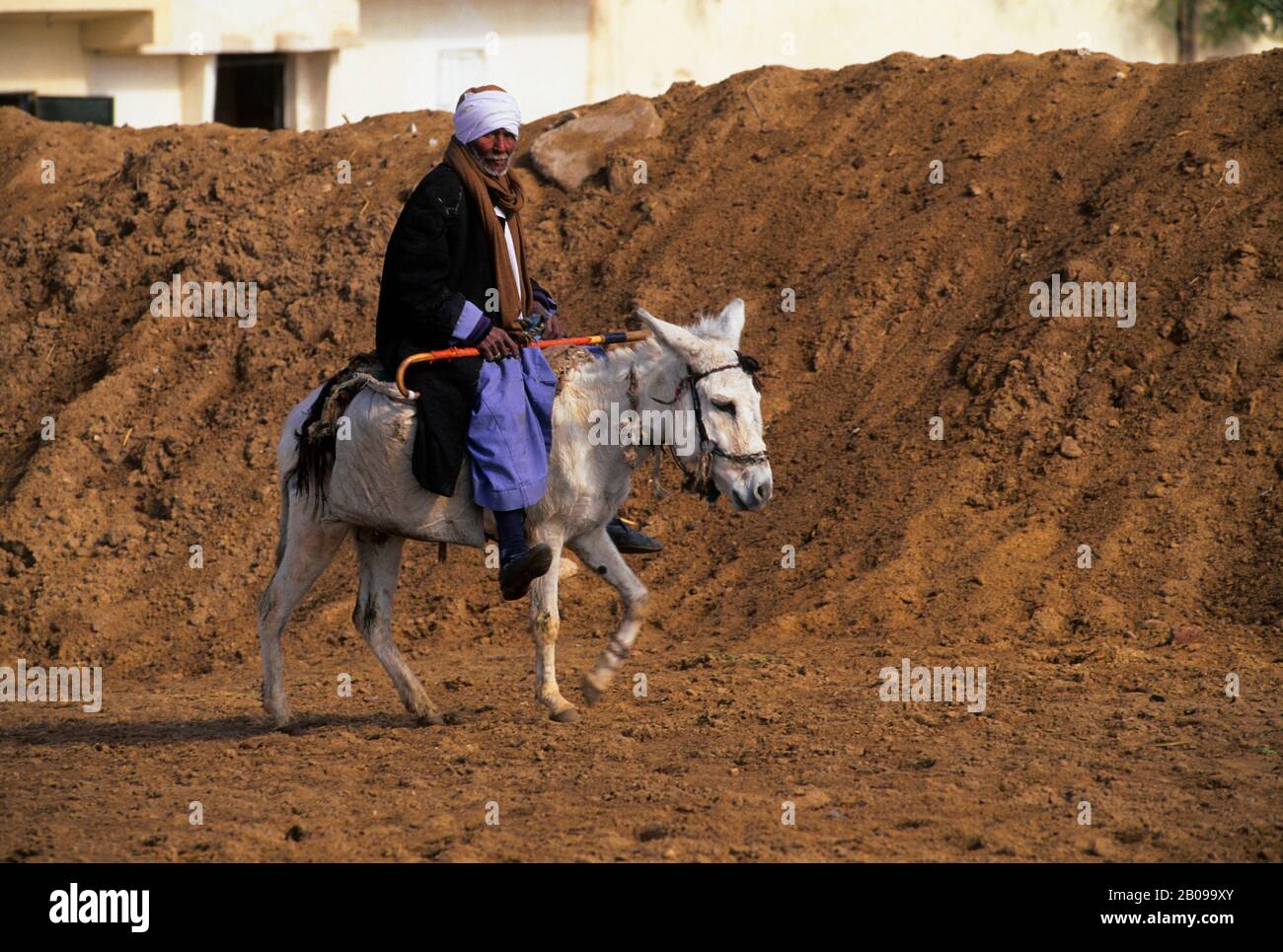 Mann Auf Esel Stockfotos und -bilder Kaufen - Alamy