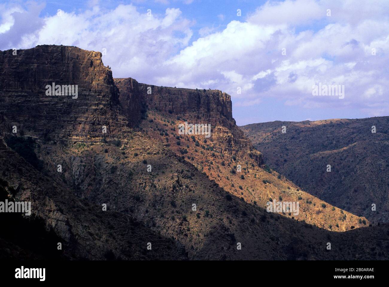 Habala saudi arabia -Fotos und -Bildmaterial in hoher Auflösung – Alamy
